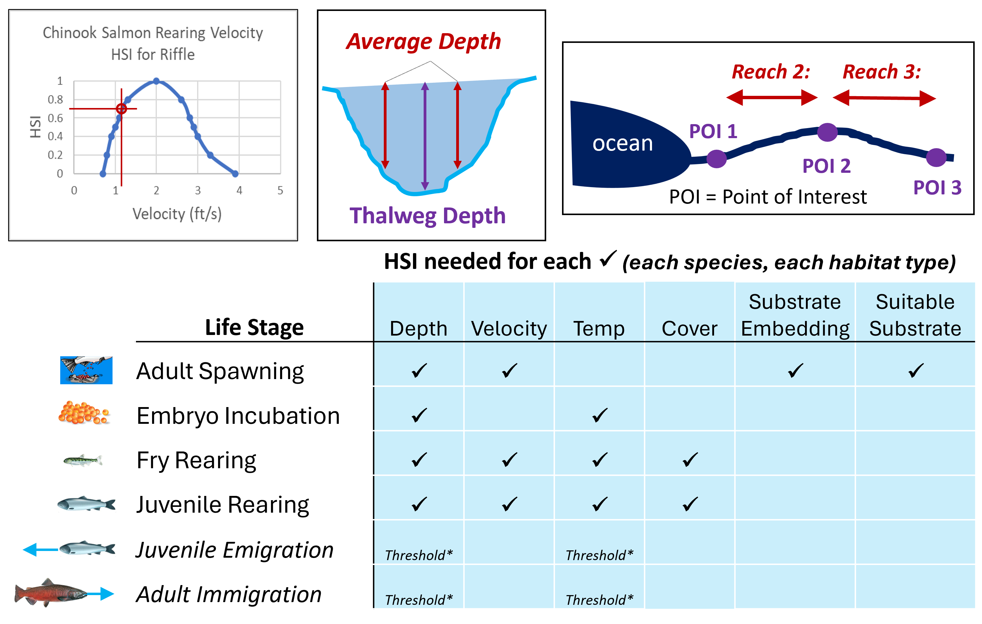 WEAP: Water Evaluation and Adaptation Planning